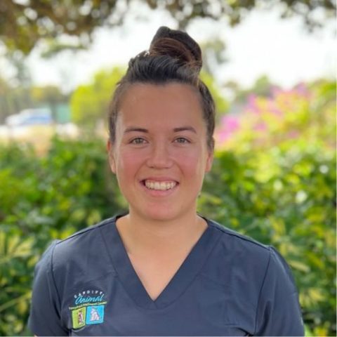 Meet The Cardiff Animal Hospital & Wellness Center - Encinitas, CA